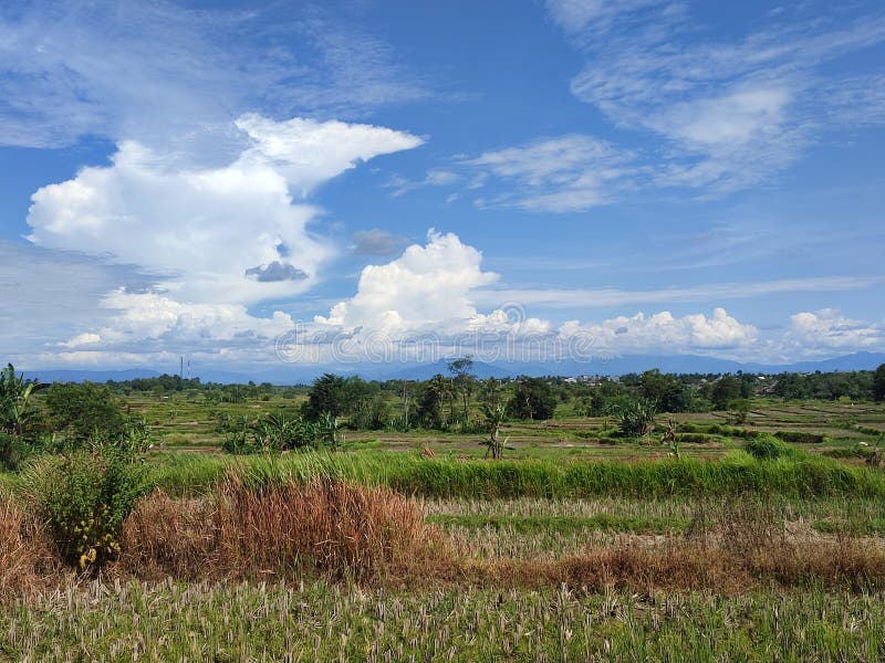 Natural Paintings about the Natural Beauty of Mountains and Rice Fields ...