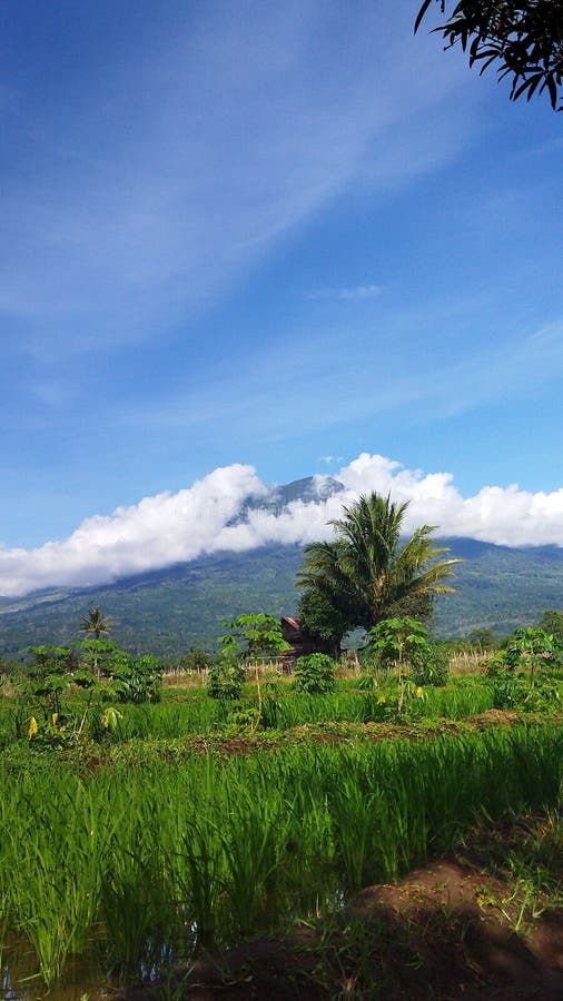 Natural Panorama in Pagar Alam City Stock Photo - Image of hill ...