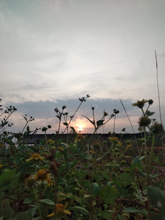 Natural Panoramic View of Sunrise in the Morning on Plengsengan Beach ...
