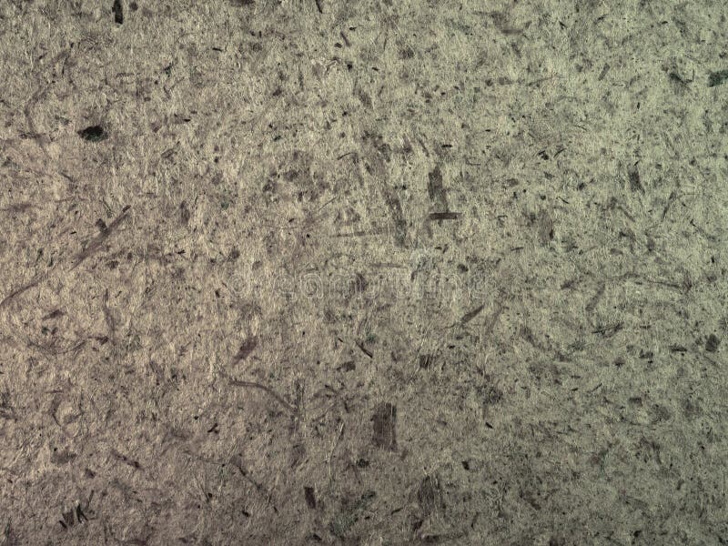 Natural paper stock photo. Image of nature, strip, natural - 72476684