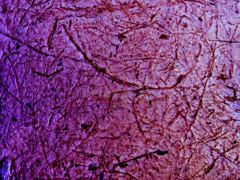 Natural paper stock photo. Image of decorative, spiral - 72477358