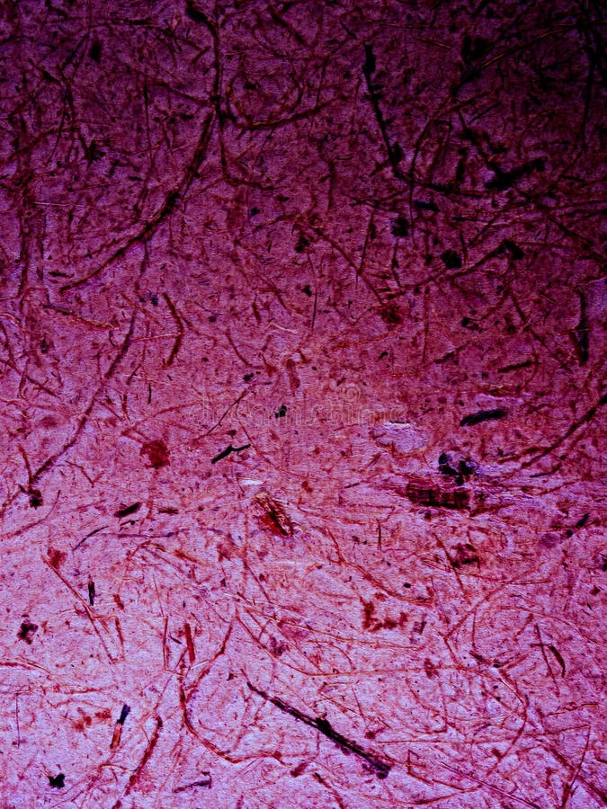 Natural paper stock image. Image of geometric, strip - 73129537