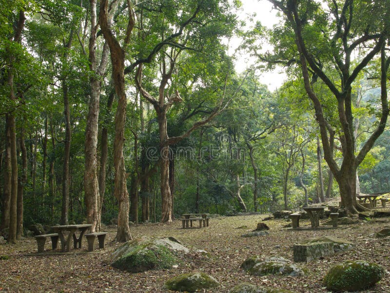 Natural Park stock photo. Image of nature, environmental - 19595836
