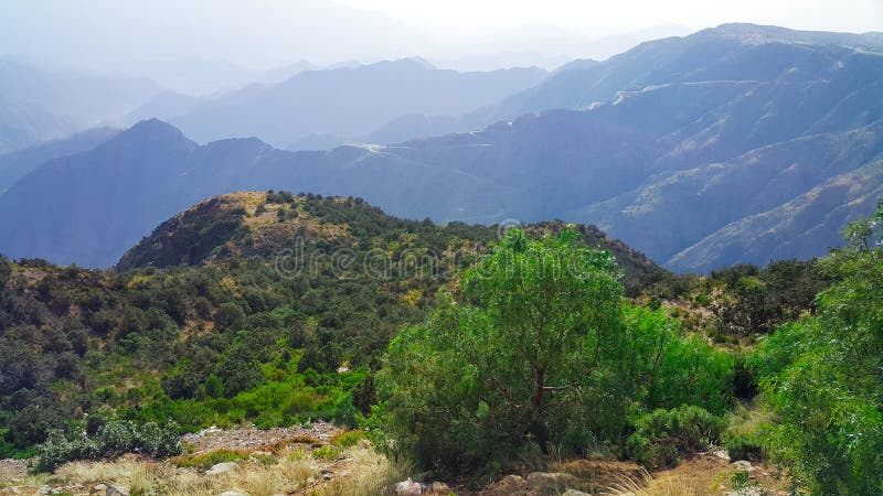 733 Saudi Arabia Forest Stock Photos - Free & Royalty-Free Stock Photos ...