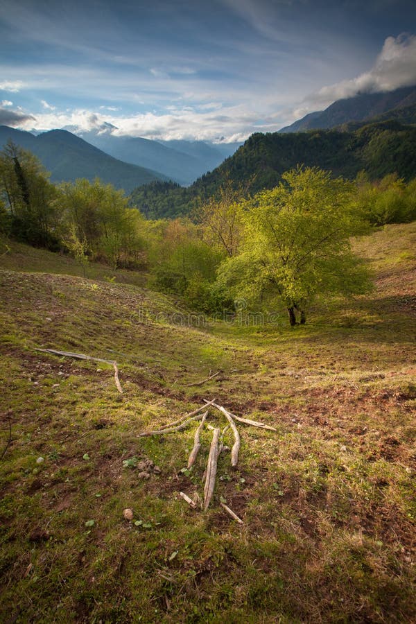 Natural Park Backgorund, Fresh Mount Background with Lake Stock Image ...