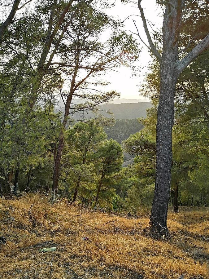 Natural Park-Montes De Malaga Stock Image - Image of park, spain: 155452669