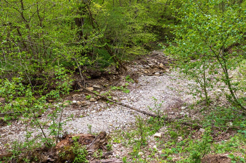 A Natural Park, a Walk Along the Riverbed with an Overview of the Area ...