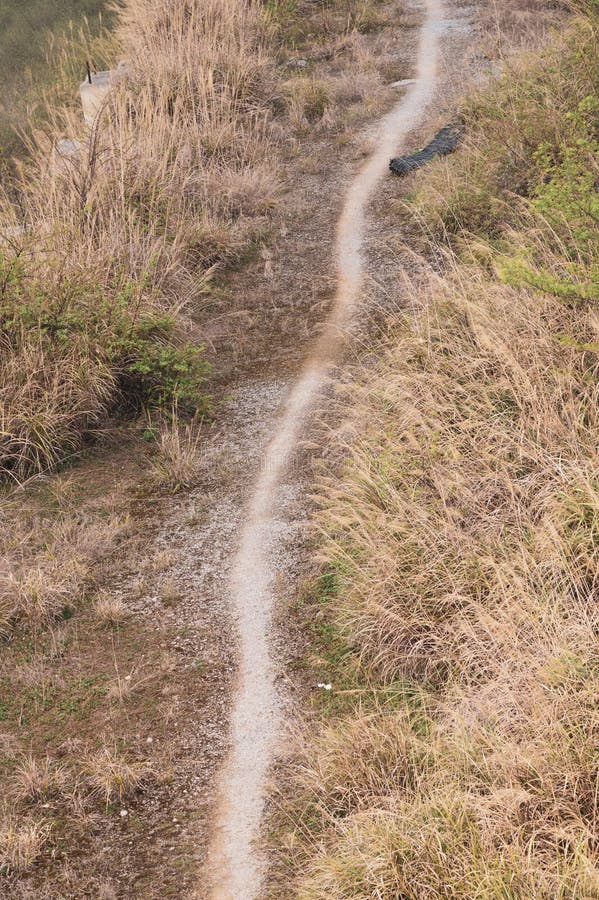 Natural path stock image. Image of grass, nature, bending - 312868391
