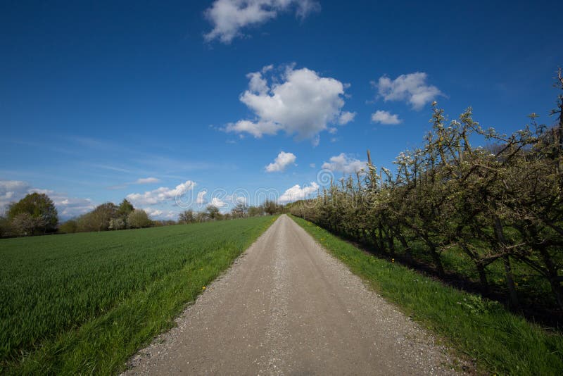 Natural Path, Green Grass and Blue Sky with Clouds Stock Photo - Image ...