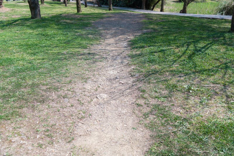 Natural path stock image. Image of land, park, road - 311784815