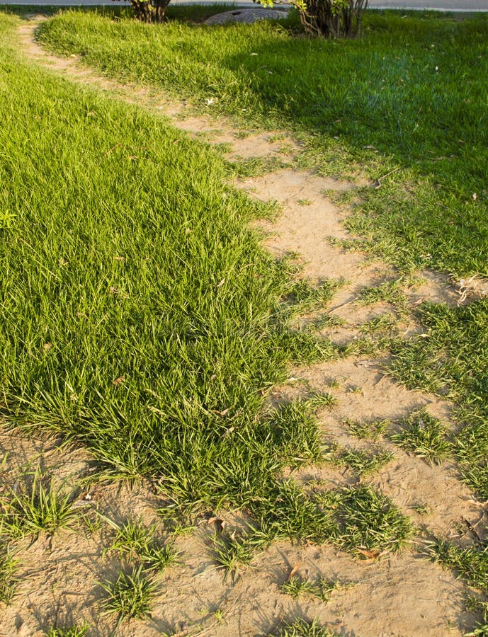 Natural path stock image. Image of park, gardens, home - 41561051