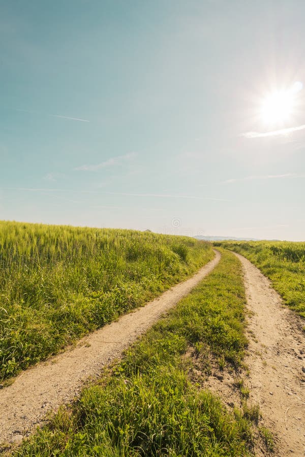 Natural path on meadow stock photo. Image of fields, sunny - 71921262
