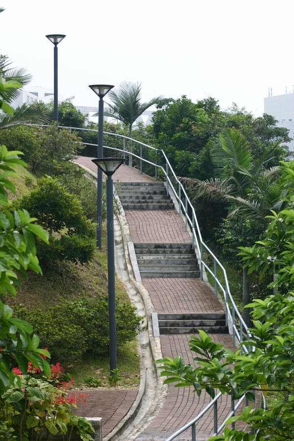 A Natural Path Stair at the Outdoor Stock Photo - Image of nature ...