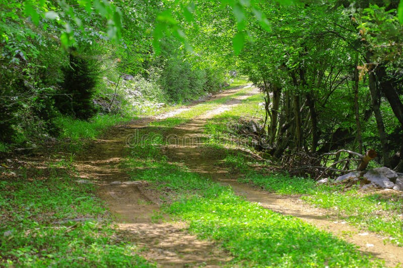 The Natural Path of Village Stock Photo - Image of footpath, street ...