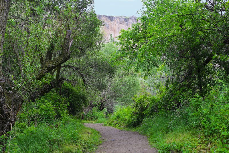 The Natural Path of Village Stock Image - Image of lane, lake: 142376801