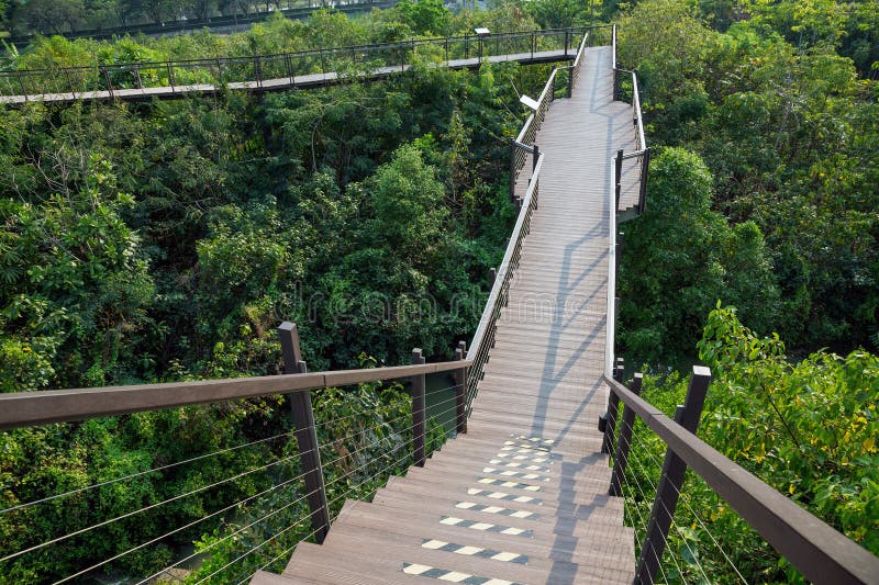 Natural Pathway Bridge in the Park. Stock Image - Image of park, path ...