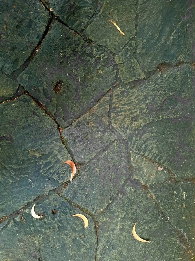 Natural Pattern of Classic House Floor with Mossy Gray Natural Stone ...