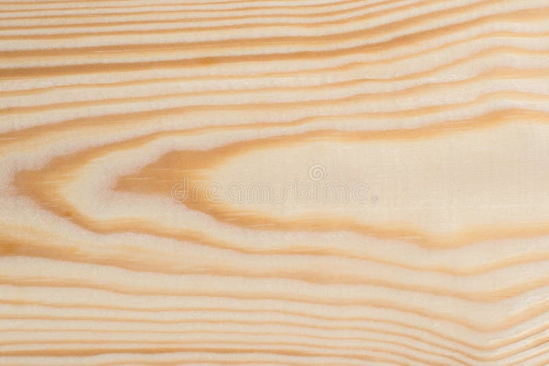The Natural Pattern of a Clean and Freshly Cut Pine Tree Plank. Wood ...
