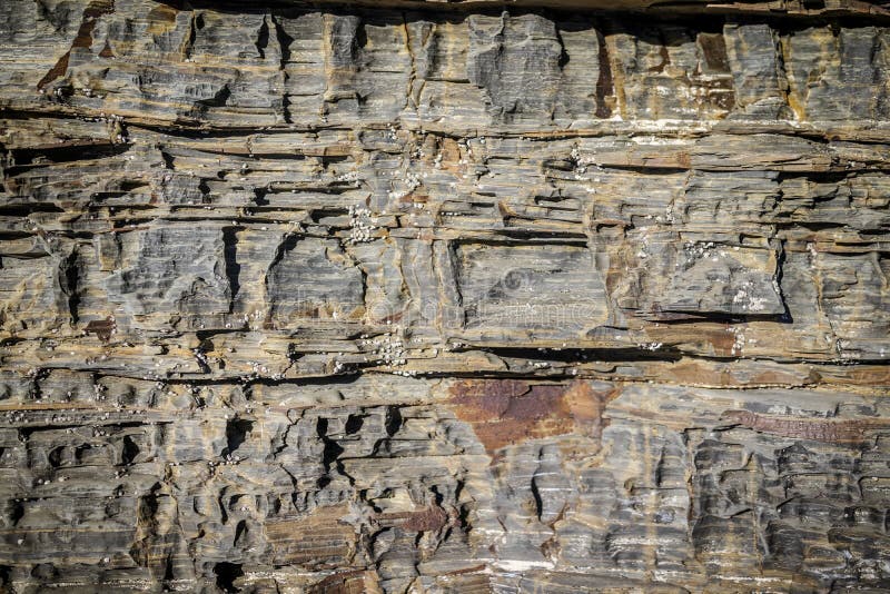 Natural Pattern of Rock Shaped by Waves Stock Photo - Image of ...