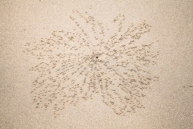 Natural Pattern of Sand Balls Stock Photo - Image of tropical ...