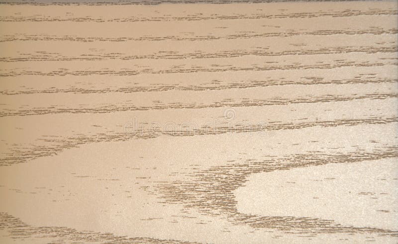 Natural Pattern of Sawn Wood of a Light Shade. Background, Texture ...