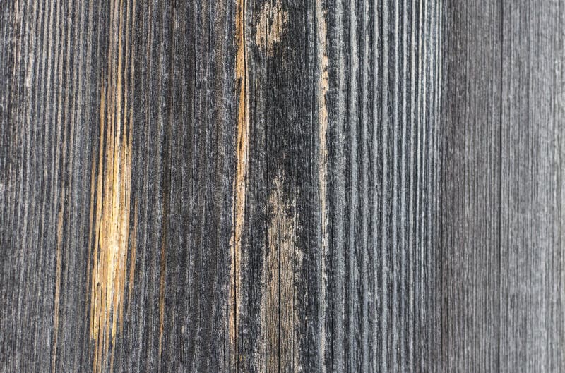 Natural Pattern on Natural Wood Board Texture Stock Photo - Image of ...