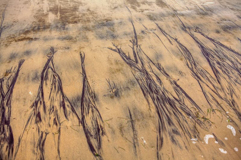 Natural Patterns in the Sand Stock Photo - Image of sunset, sandy ...