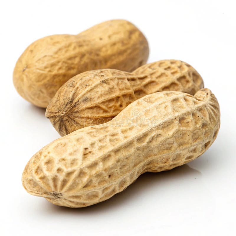 Natural Peanut on Transparent Background Stock Illustration ...