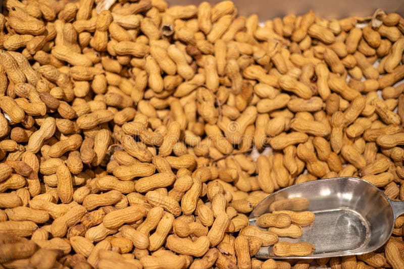 Natural Peanuts in Their Shells Pile Stock Photo - Image of shell ...