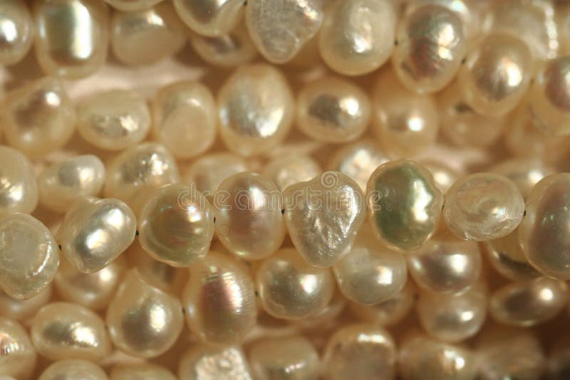 Natural Pearl Texture Form Big Sea Shell Stock Image - Image of close ...