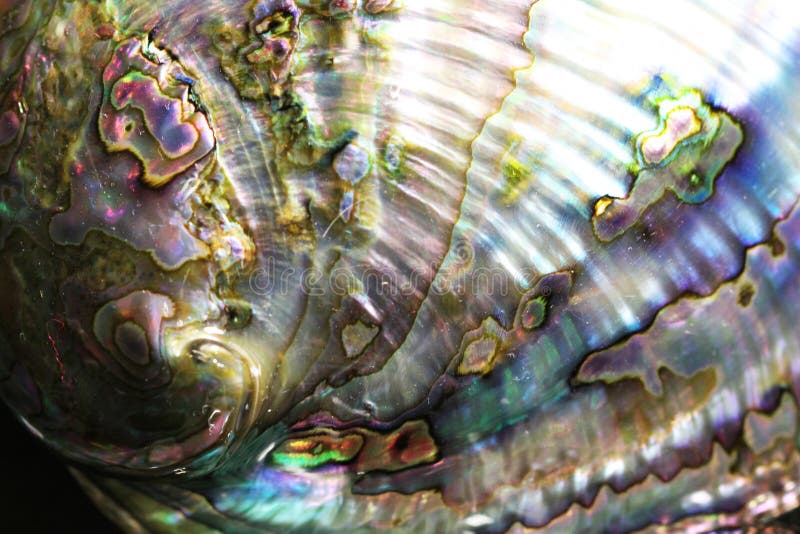 Natural pearl texture stock photo. Image of beautiful - 147478734