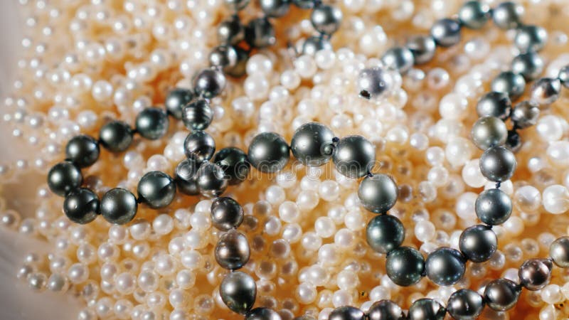 Background of Natural Pearls. Stock Photo - Image of accessory, ball ...