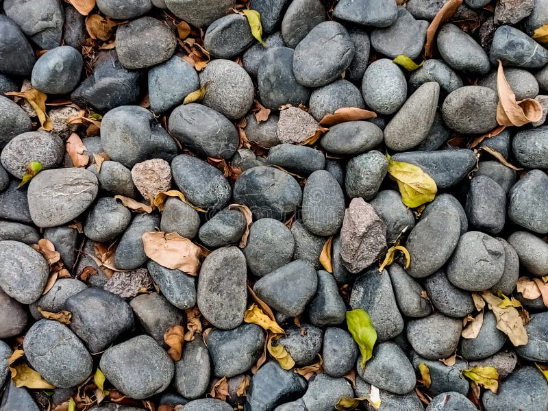 Natural Pebble and Dry Leaf Composition Stock Image - Image of surface ...