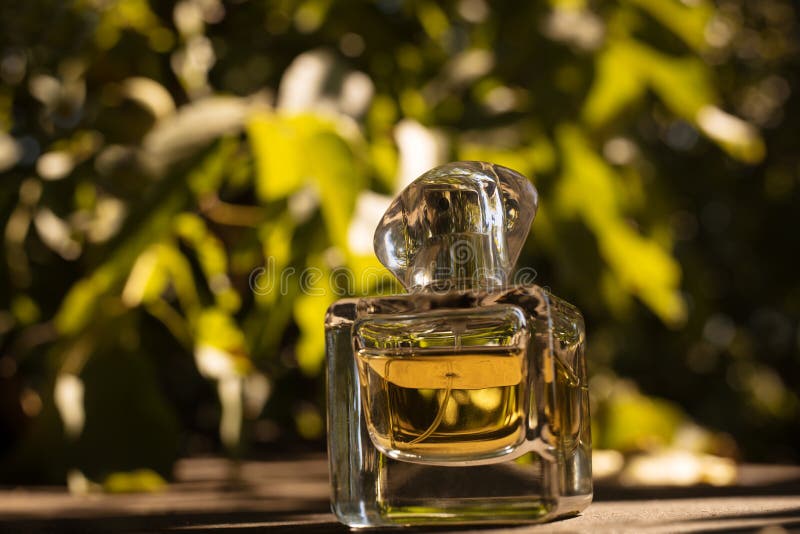 Natural Perfume in a Square Bottle on Green Blurred Background Stock ...