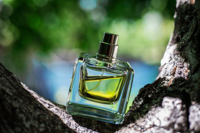 Natural Perfume in a Square Bottle on Green Blurred Background Stock ...