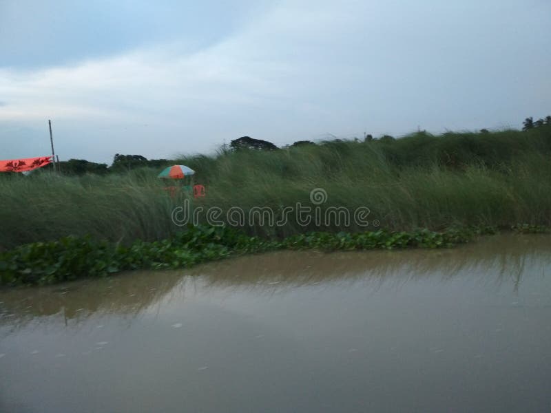 Padma river stock photo. Image of padma, river, bank - 100332026
