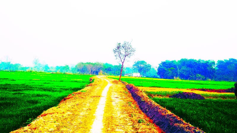 Natural Picture of India Country Stock Photo - Image of india, sean ...