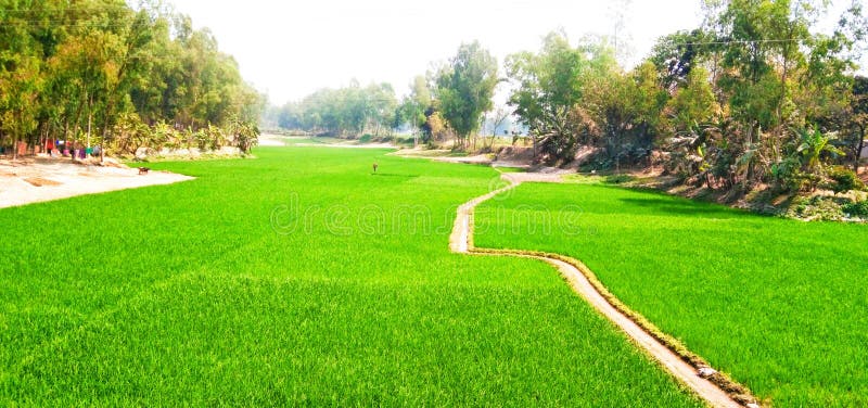 Natural Picture, and New Picture, and Natural Plase Land Stock Photo ...