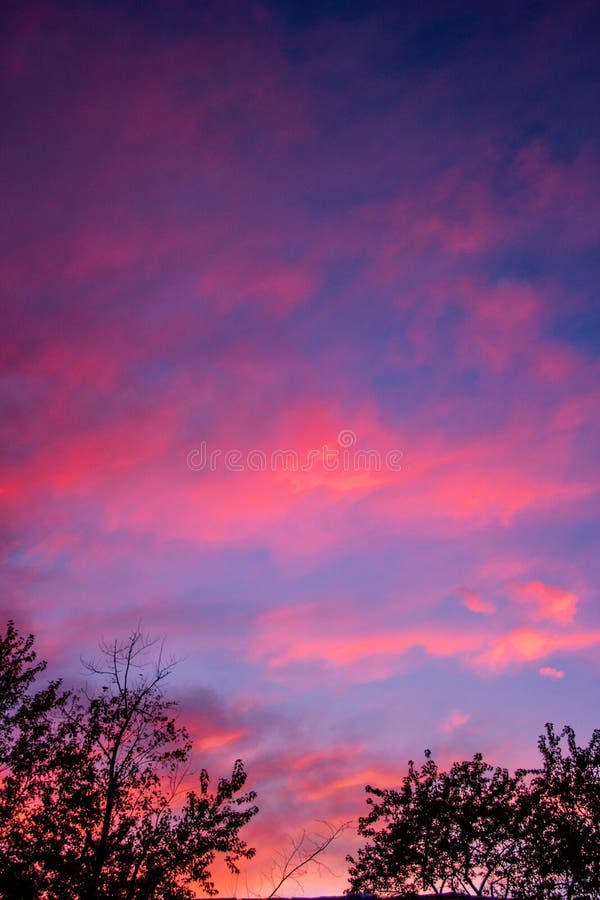Natural Pink Sunset with Clouds Stock Image - Image of clouds, dawn ...