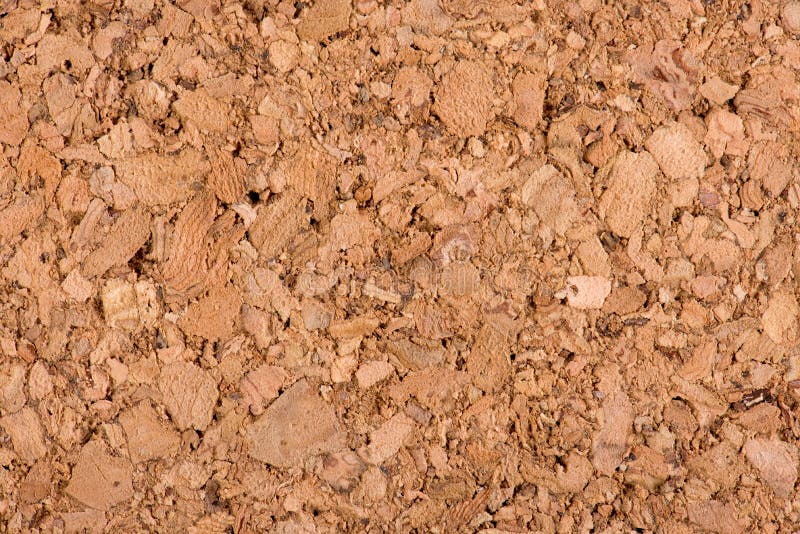 Natural pith texture stock photo. Image of pattern, architectural ...