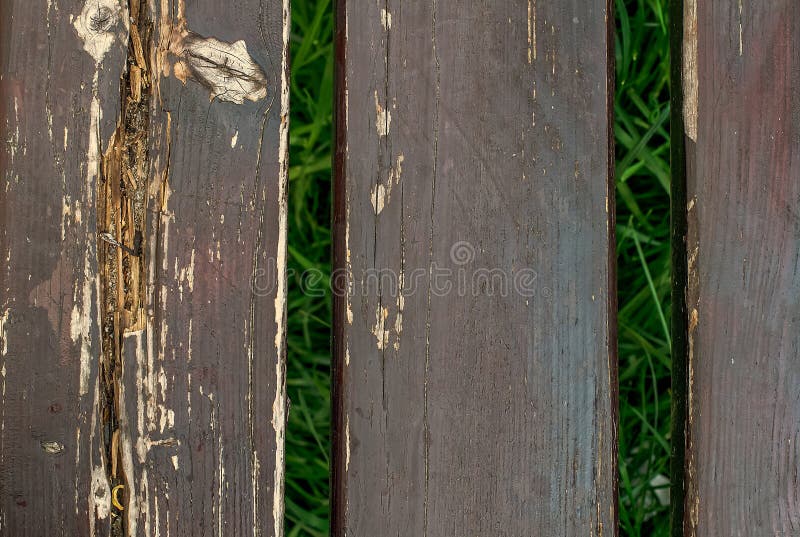 Natural plank texture stock image. Image of background - 247395775
