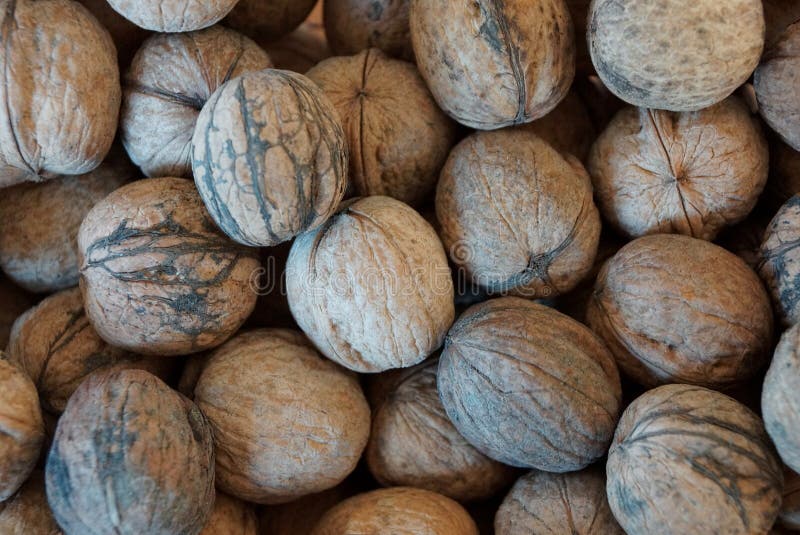 Natural Plant Gray Dry Walnuts Texture in a Heap Stock Photo - Image of ...