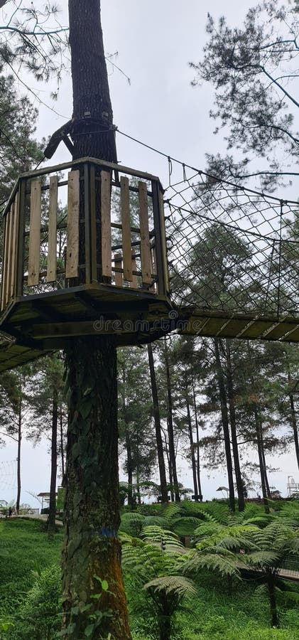 Natural Playground in the Forest Stock Image - Image of architecture ...