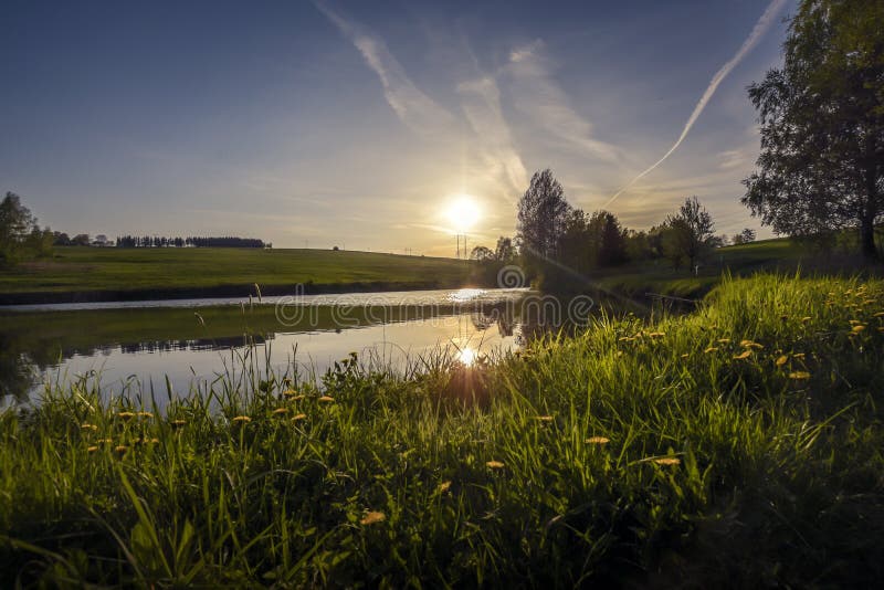Natural Pond with Calm Surface. Stock Image - Image of environment ...