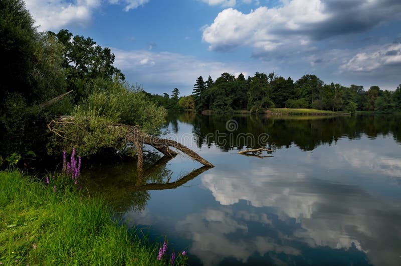 Natural Pond and Reflections Stock Image - Image of reflect, still ...