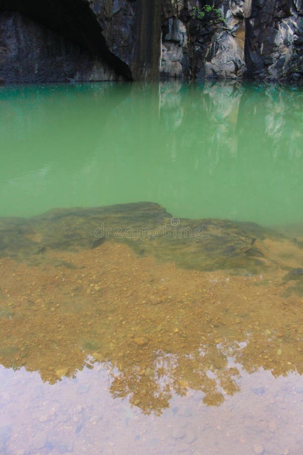 Natural Pond Water Reflection with Green Water Stock Image - Image of ...