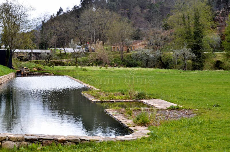 Pool stock image. Image of outdoor, refreshing, sport - 1309133