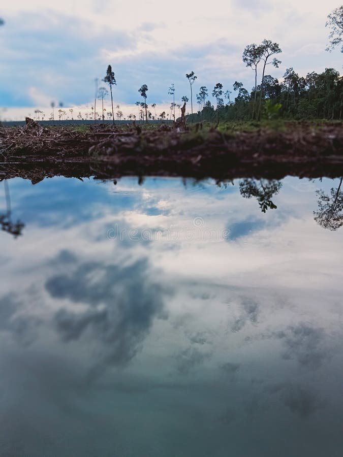 Natural Pool Green of Sumatra Stock Photo - Image of natural, pool ...