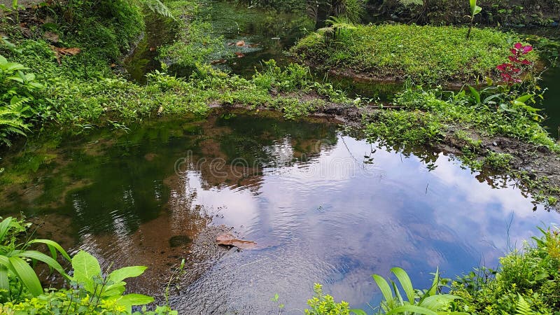 Natural Pool Located in a Forest Park Stock Photo - Image of travel ...