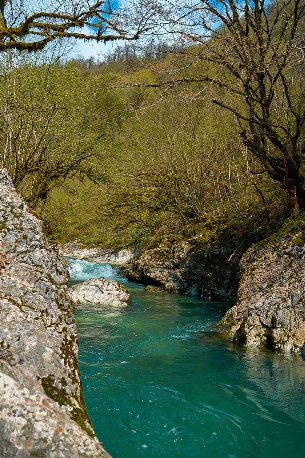 The Natural Pool of the Mountain River with Emerald Clear Water Stock ...